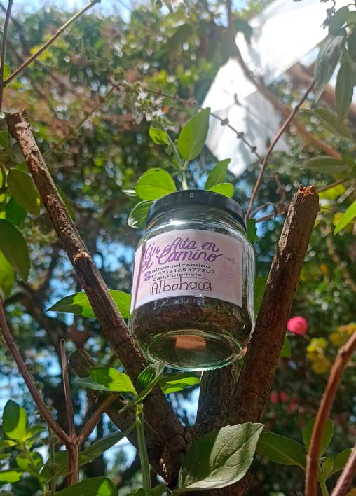 Albahaca Limón Deshidratada - Sembrando Cali